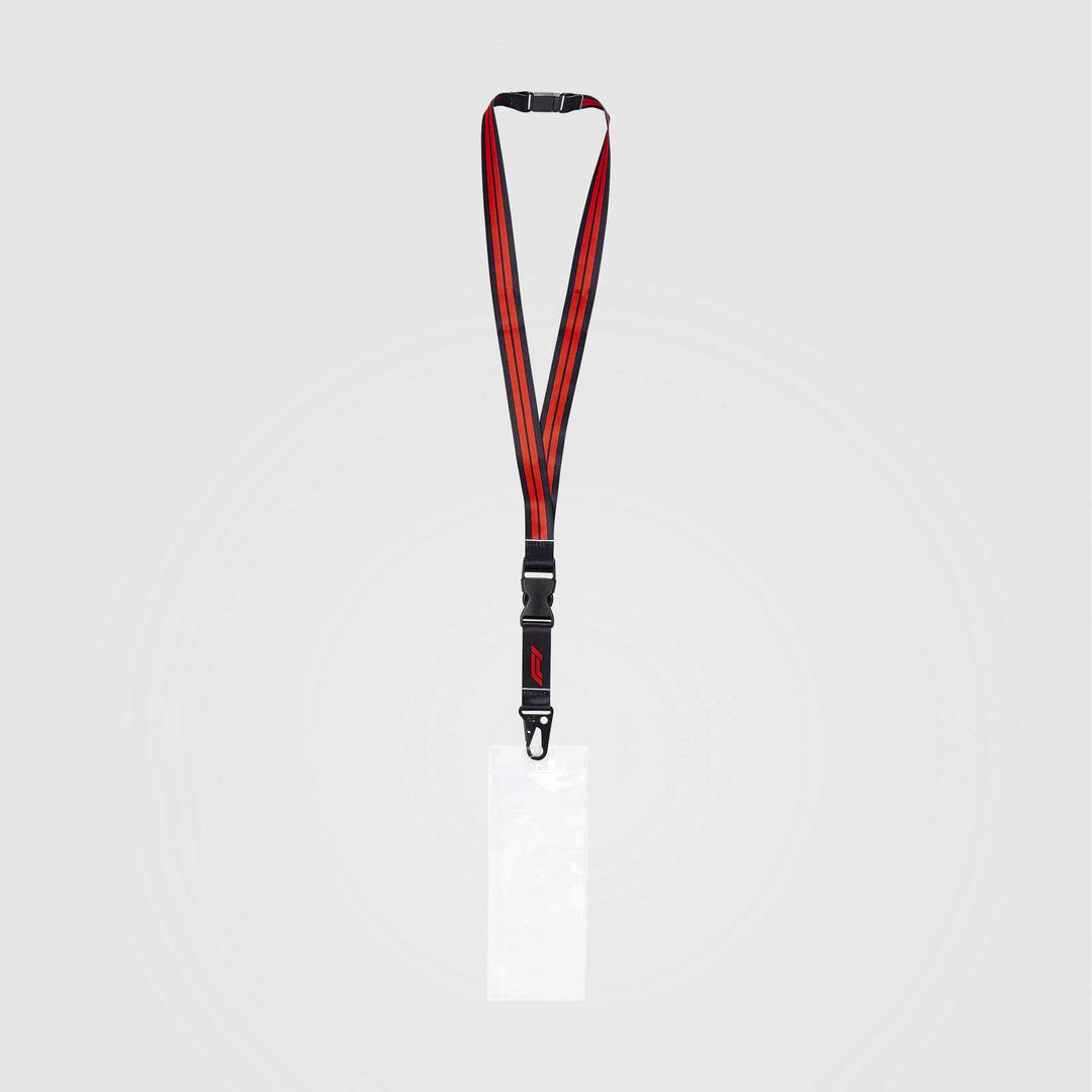 Ultimate Display Only – F1 Experiences